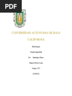 05 Tejidos Epiteliales III Especializaciones Del Dominio Basolateral ...