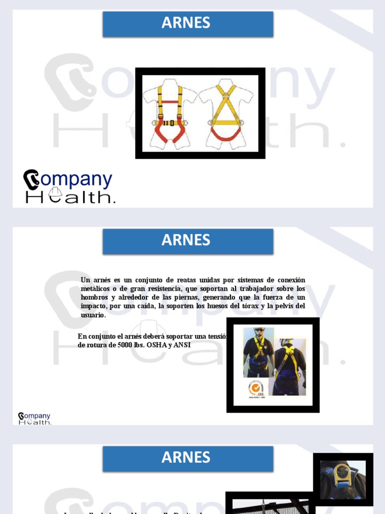 Arnes Company | PDF