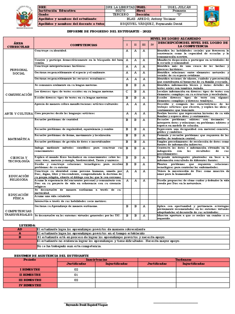 Informe de Progreso Primaria - 3º Grado | PDF | Matemáticas | Vida