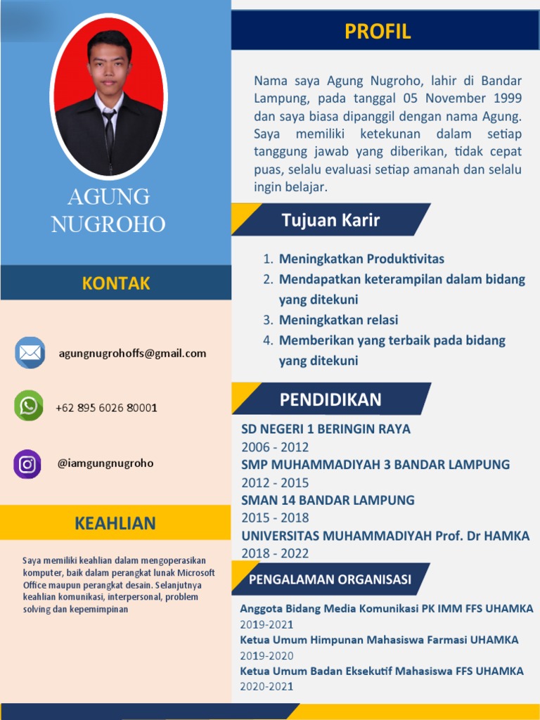 Contoh CV 1 | PDF