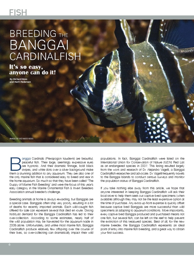 RHM Baggani 112008 | PDF | Spawn (Biology) | Fishkeeping