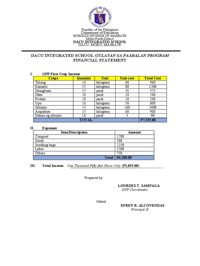 GPP Financial Statement | PDF