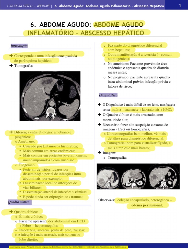 Inflamatório-Abscesso Hepático | PDF | Imunologia | Ciências da Saúde