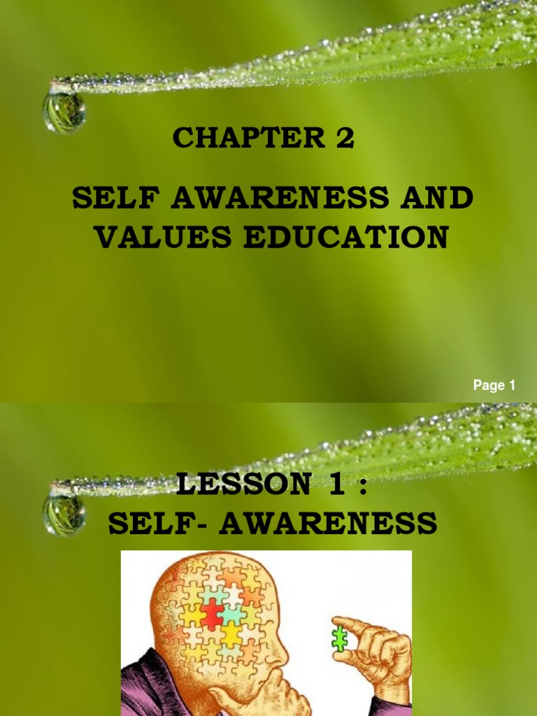 Chapter 2 Self Awareness and Values Education | PDF | Motivation | Motivational