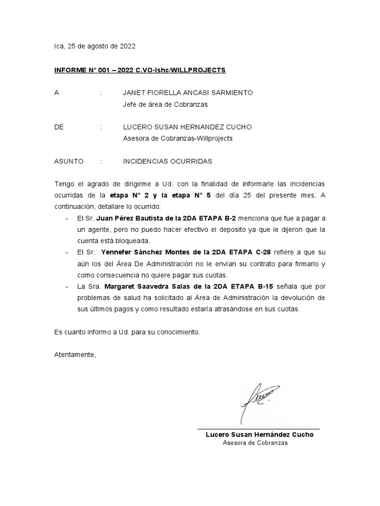 Informes Lucero | PDF