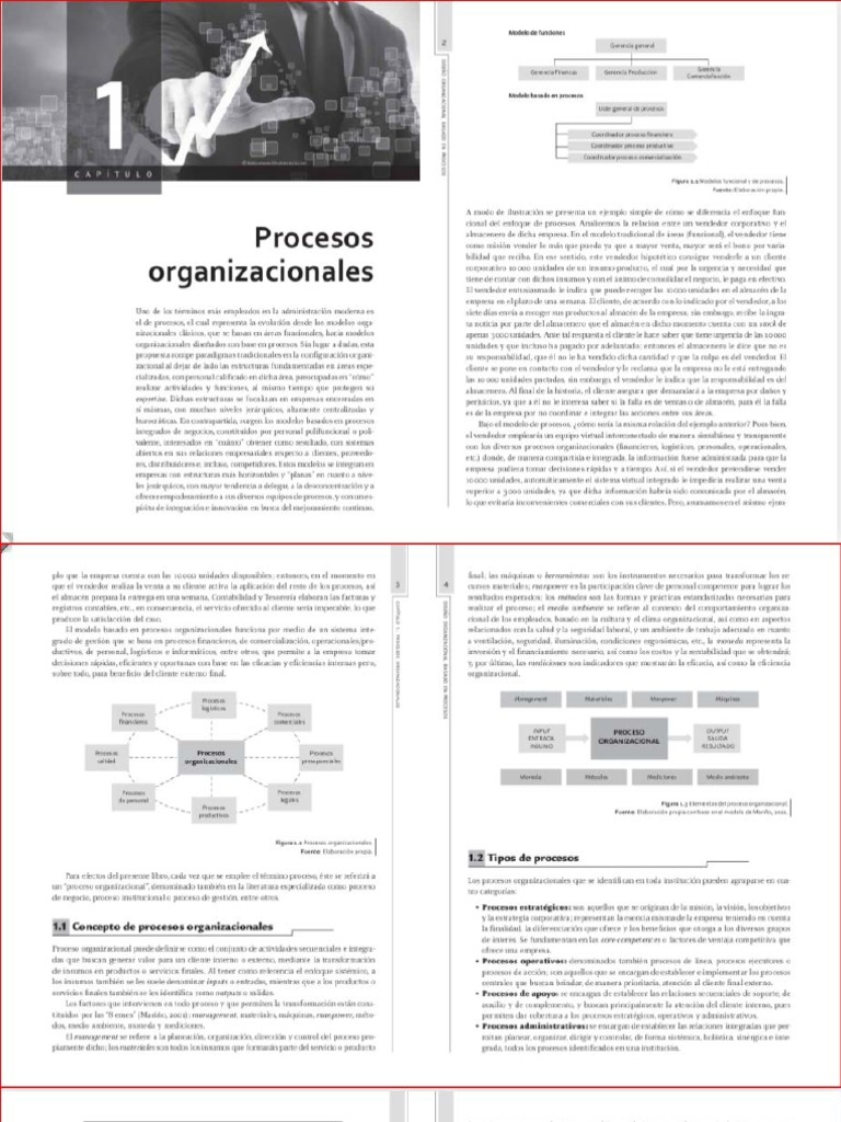Cap. 1 Procesos Organizacionales | PDF