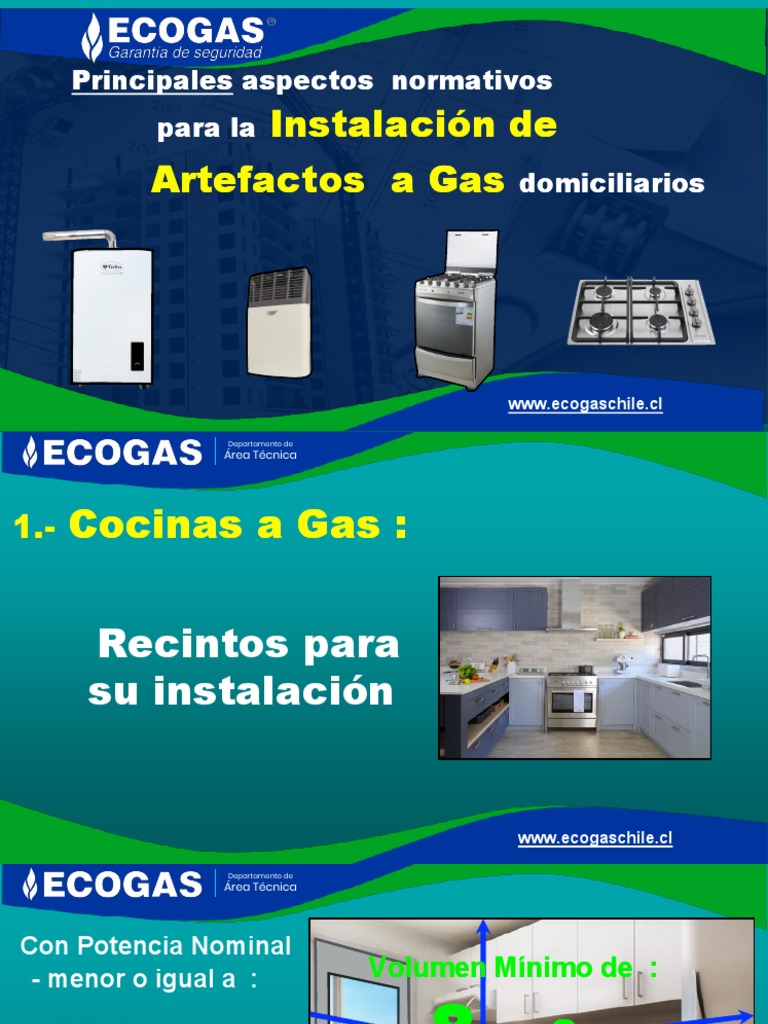 Marta Puelma Gustavo Carvajal ECOGAS | PDF | Estufa de cocina | Bienes manufacturados