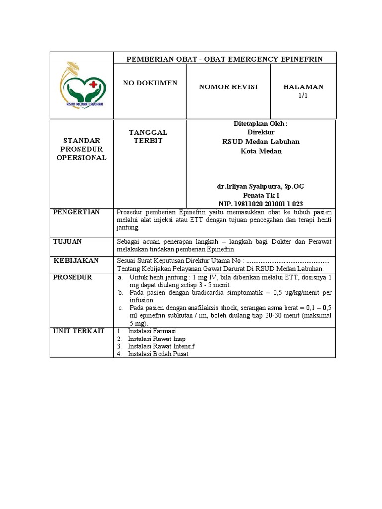 Pemberian Obat - Obat Emergency Epinefrin | PDF