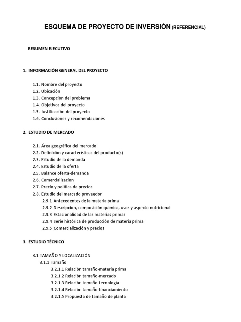 Ar 03 Esquema de Proyecto de Inversión | PDF | Inversiones | Marketing