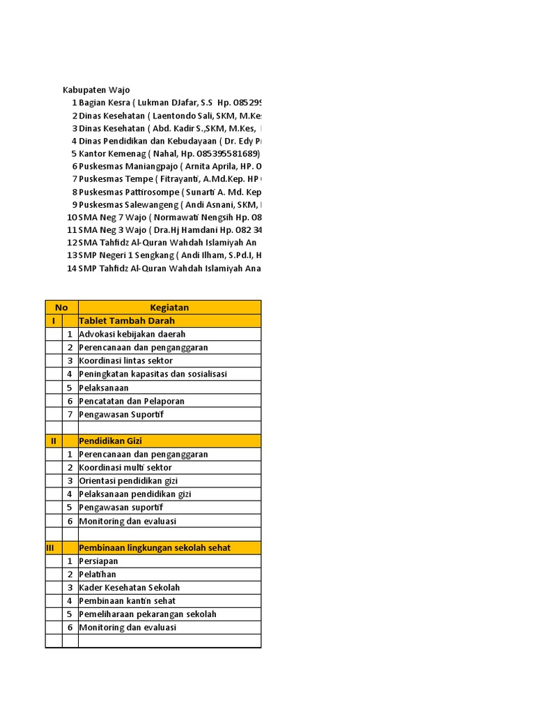 Bagi RTL Program Gizi Remaja Kab - Wajo Tahun 2023-2 | PDF