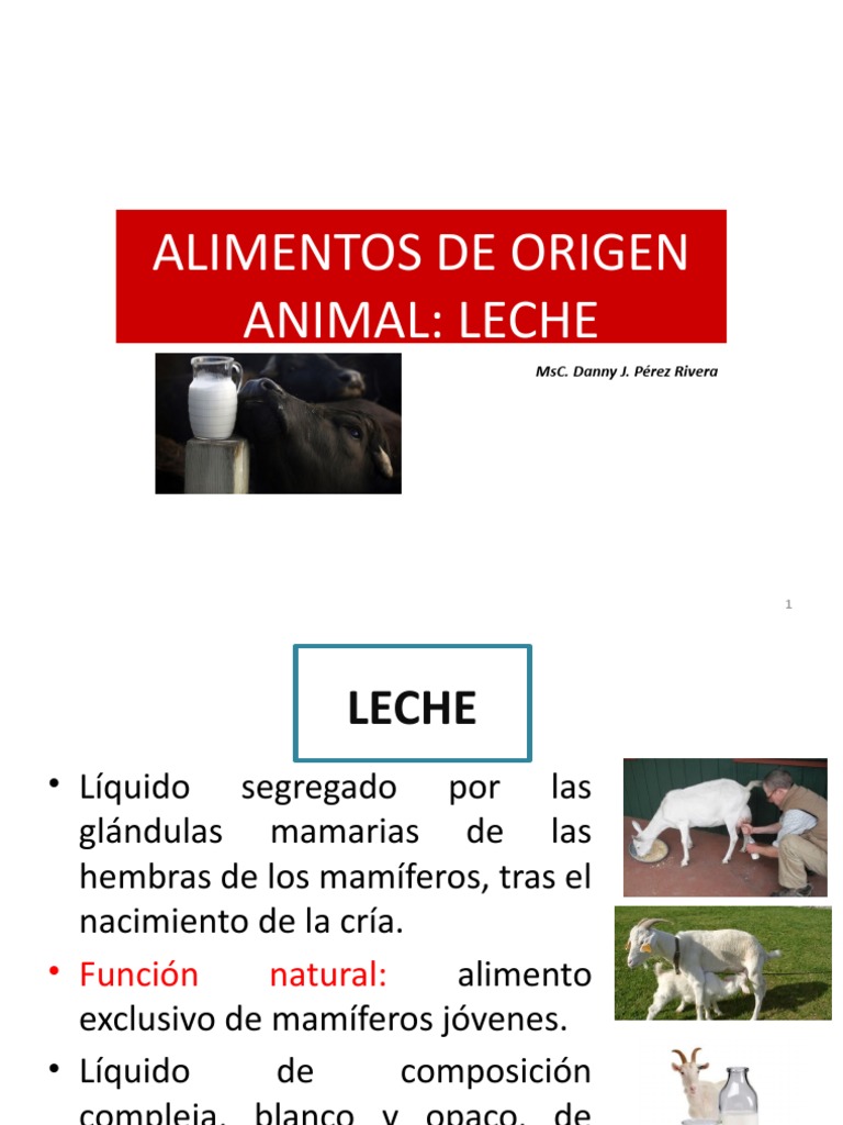 5° Alimentos Origen Animal - LECHE | Descargar gratis PDF | Leche ...