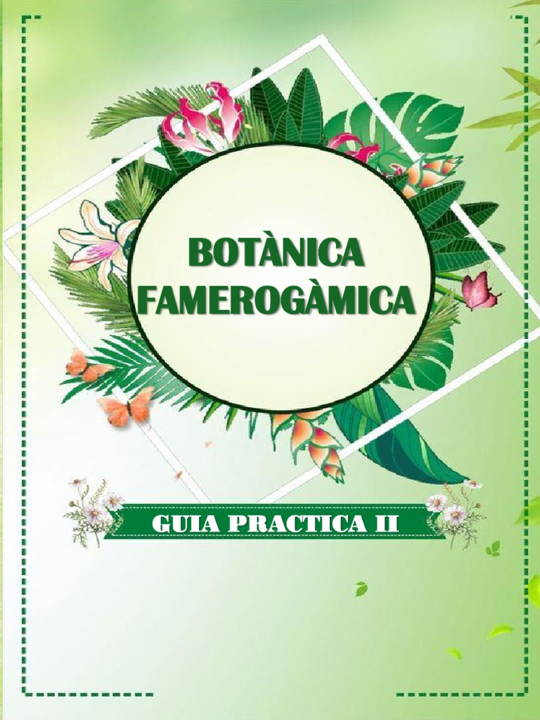 Guia Practica Ii-Botanica | PDF | Tallo de la planta | Hoja Guia Practica Ii-Botanica | PDF | Tallo de la planta | Hoja
