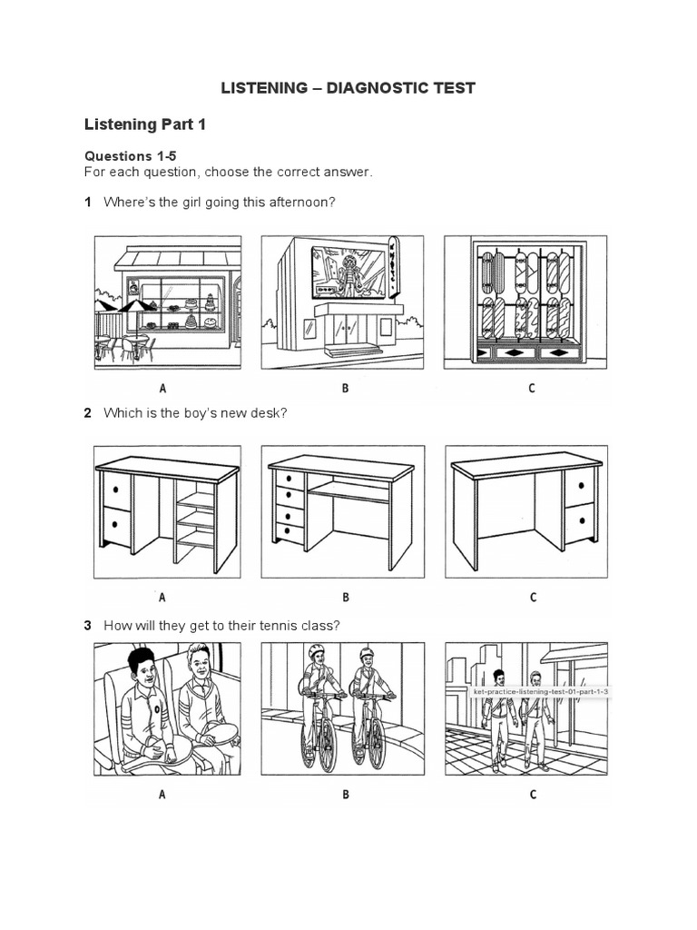 Diagnostic Listening Assessment: Preparing Students for Various ...