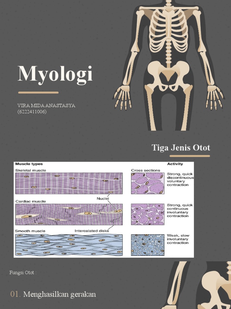 Otot Ekspresi dan Otot Pengunyah | PDF