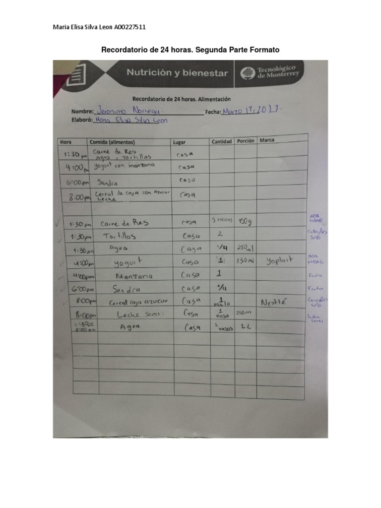 Recordatorio De 24 Horas Segunda Parte Formato Pdf