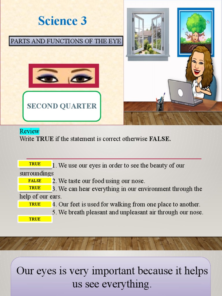 Parts and Functions of the Eye for Grade 3 | PDF | Human Eye | Eye