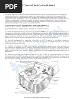 5 Trafico Vesicular | PDF | Biología Celular | Bioquímica