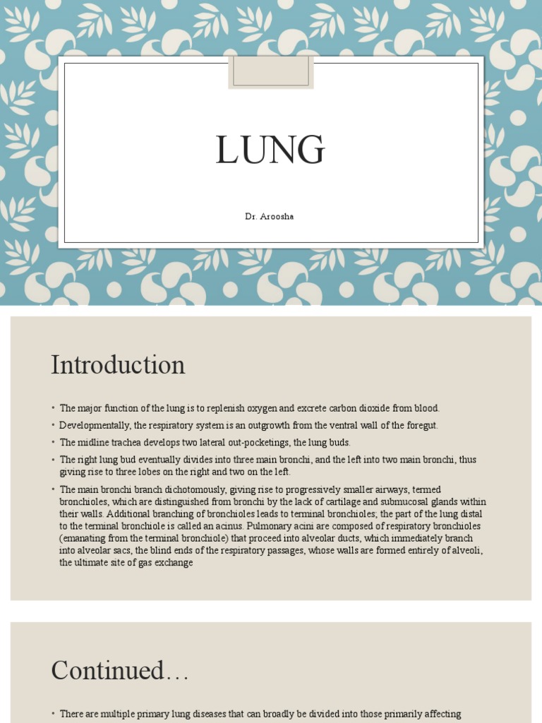 Lecture 6 Lungs | PDF | Lung | Respiratory Tract