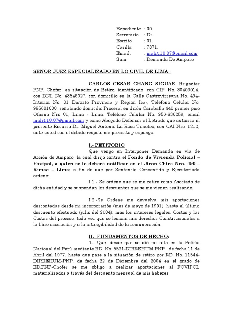 Modelo de Demanda de Accion de Amparo | PDF | Ley constitucional | Justicia