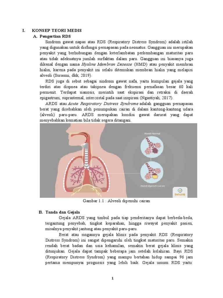 PENGKAJIAN KOMPREHENSIF UNTUK PENYAKIT RDS PADA BAYI BARU LAHIR | PDF