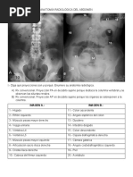 Protocolo UROTAC | PDF