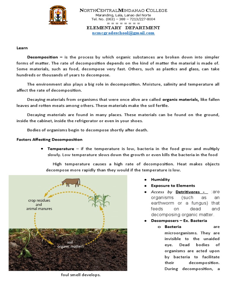 Factors That Affect the Rate of Decomposition | PDF | Decomposition ...