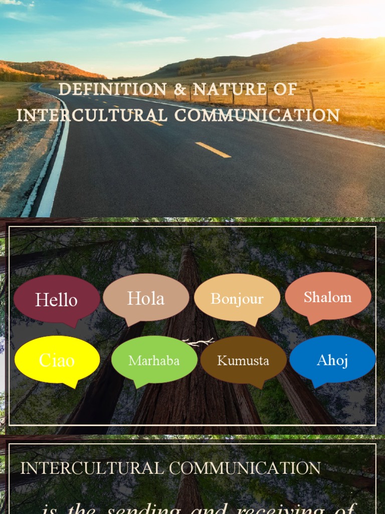 Definition & Nature of Intercultural Communication | PDF