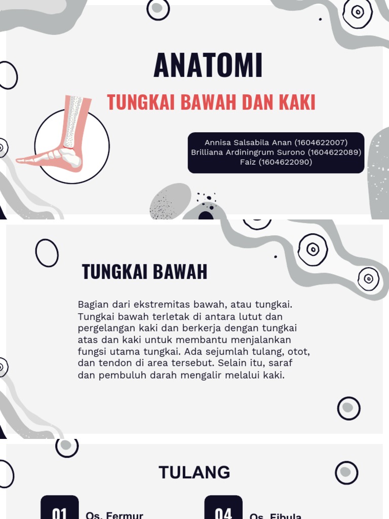 Anatomi Tungkai Bawah Dan Kaki | PDF