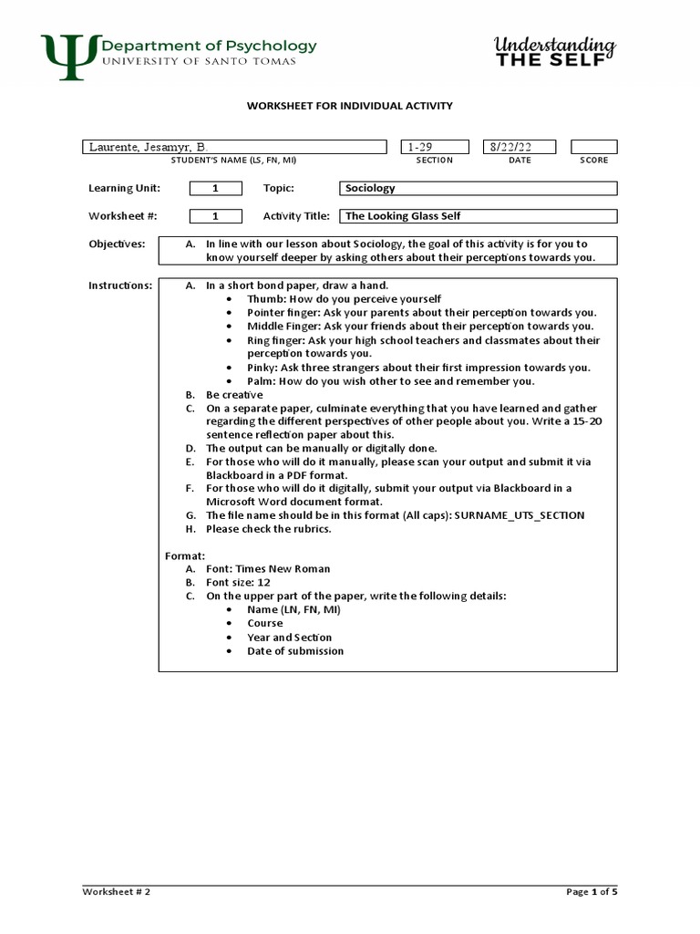 Exploring the Looking Glass Self | PDF | Thought | Perception