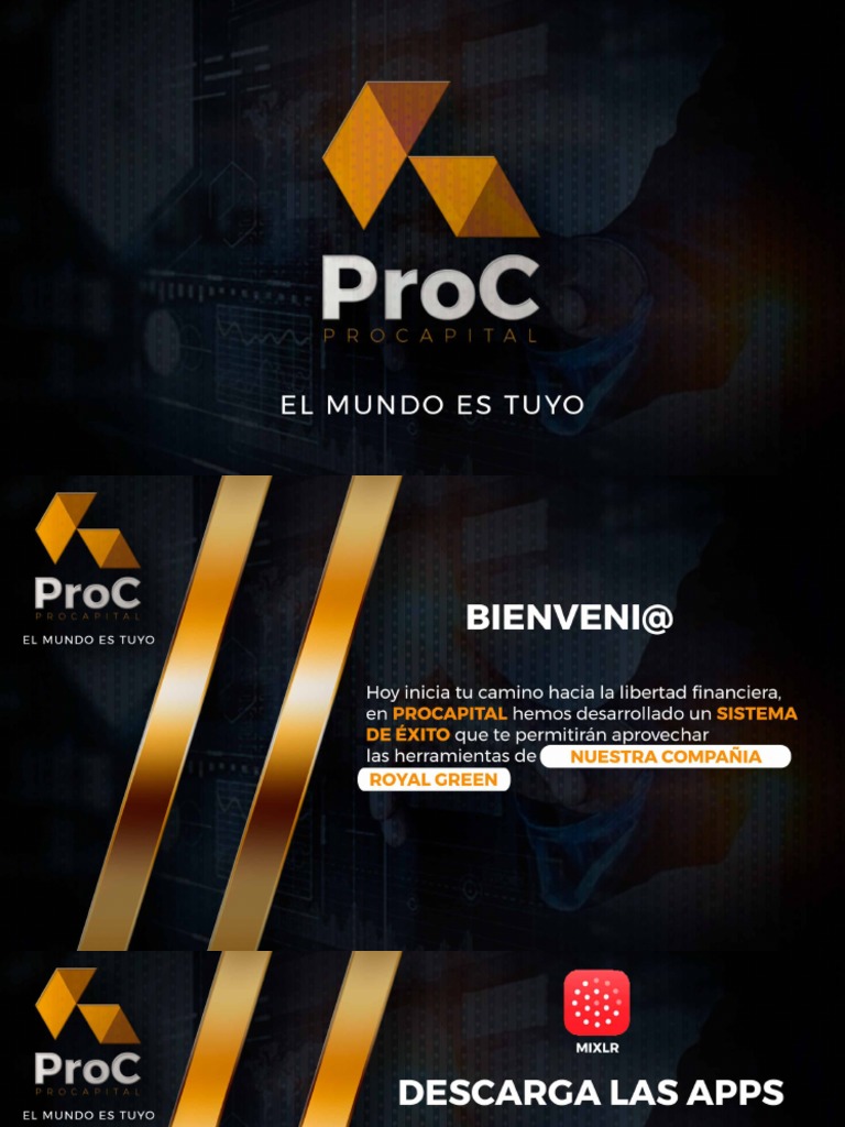 Presentacion Procapital | PDF