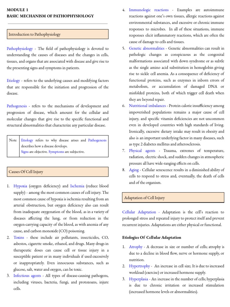Understanding the Basic Mechanisms of Pathophysiology | PDF | Immune ...