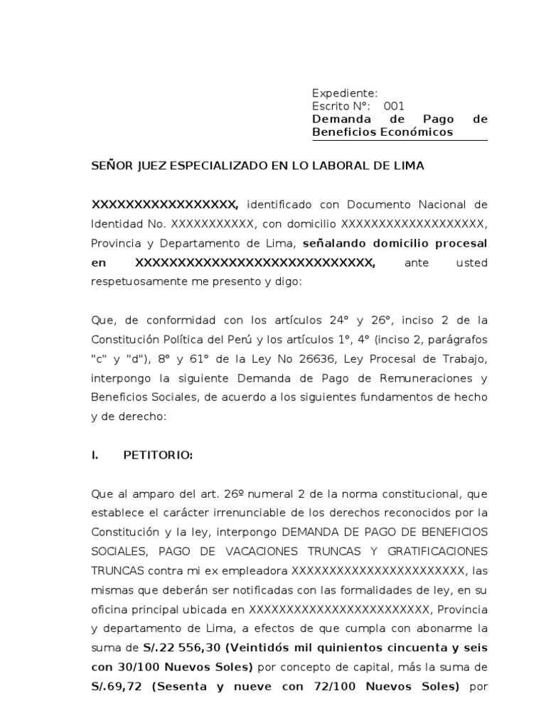 Modelo de Demanda Laboral | PDF