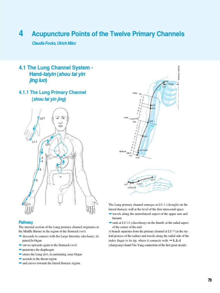 Lung Meridian Acupuncture Points | PDF | Arm | Human Anatomy