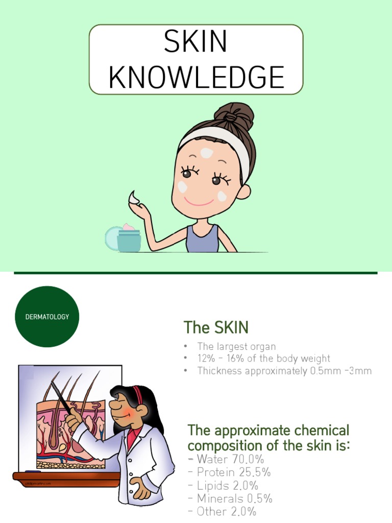 Skin Knowledge - 2020 2 | Download Free PDF | Skin | Epidermis