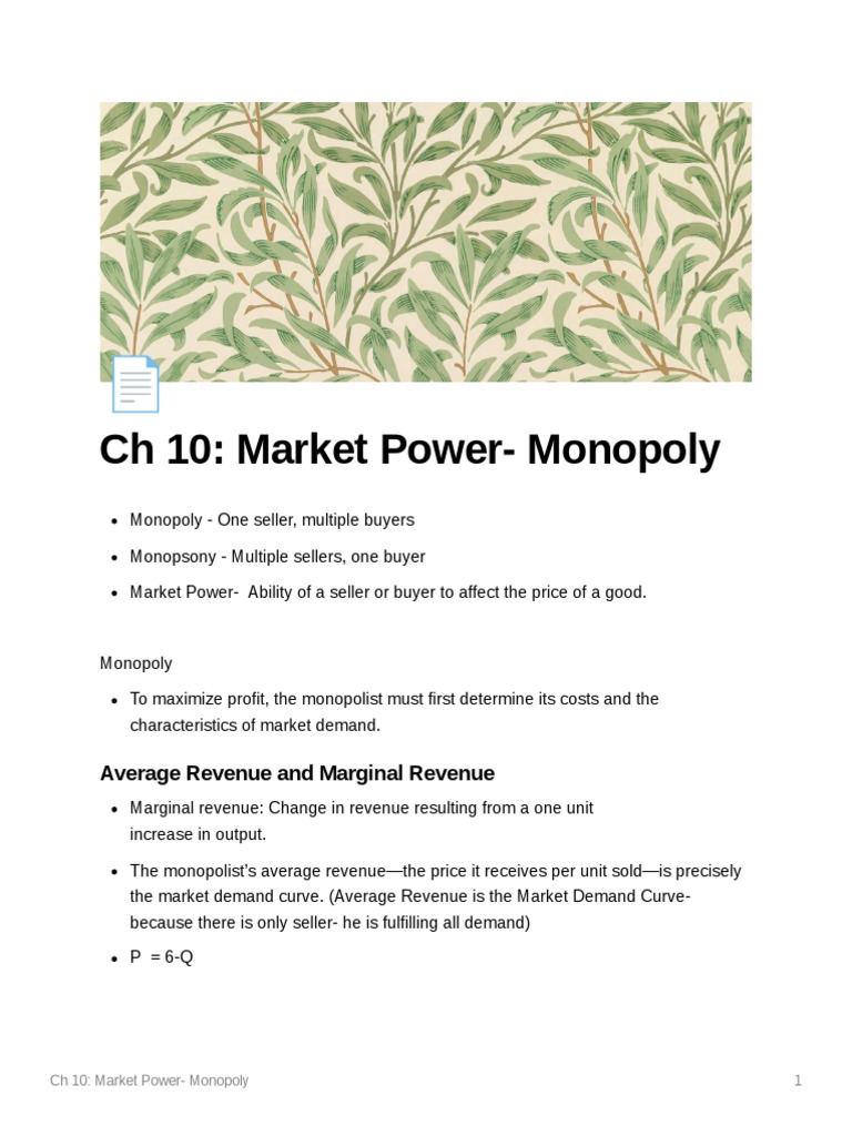 Monopoly Market Power Explained | PDF | Monopoly | Profit (Economics)