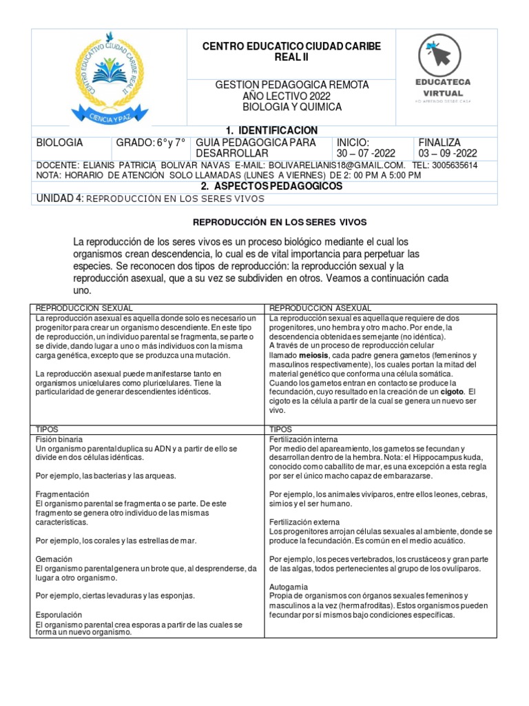 Guia #4 Reproducción en Los Seres Vivos 6-7 | PDF | Músculo esquelético ...