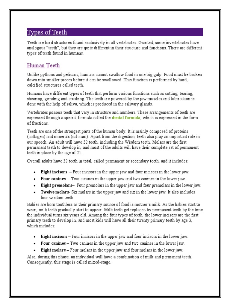 Our Teeth | PDF | Tooth | Human Tooth