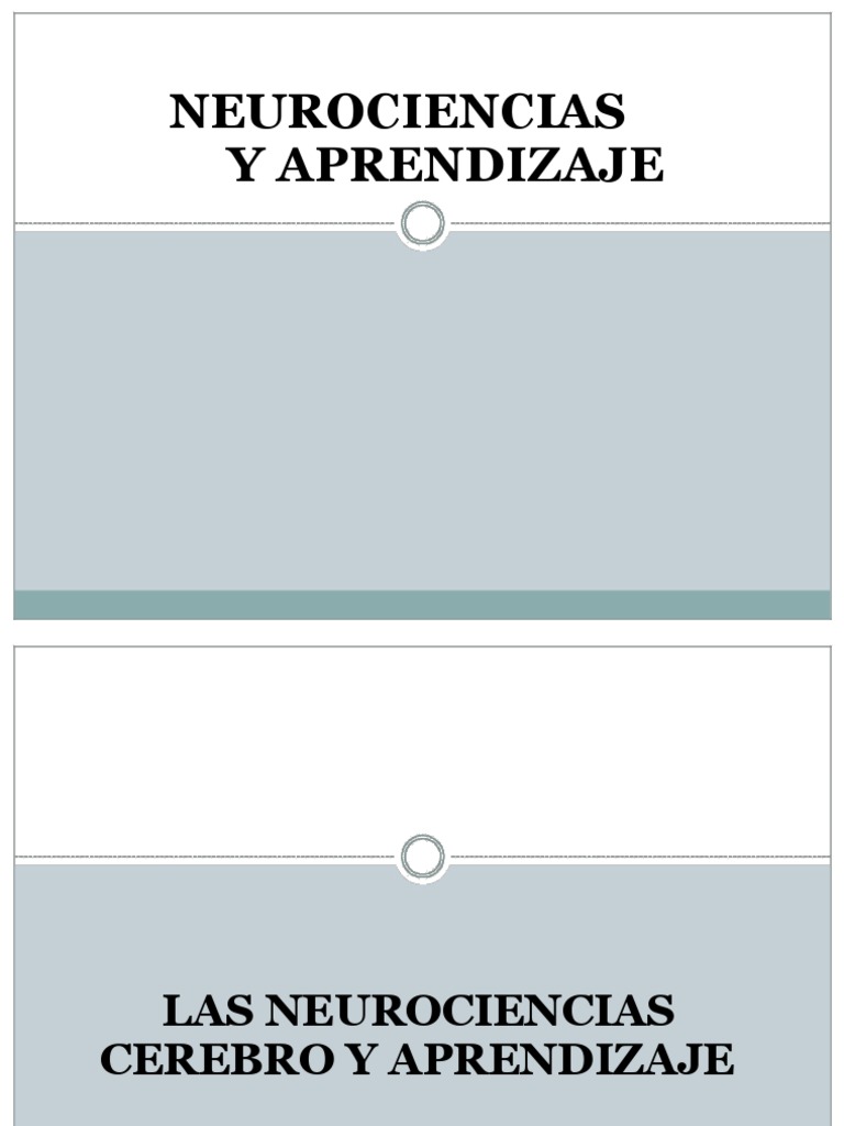 Las Neurociencias 1 | PDF | Cerebro | Neurona