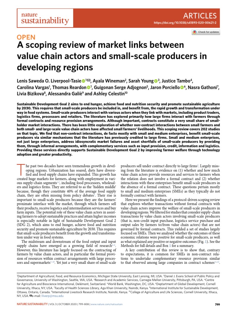 A Scoping Review of Market Links Between Value Chain Actors and Small ...