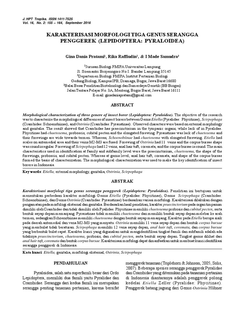 Karakterisasi Morfologi Tiga Genus Serangga Pengge | PDF | Lepidoptera ...