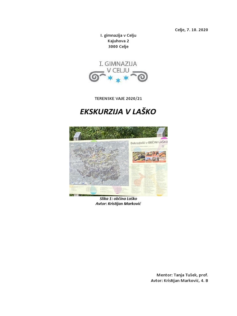 Lasko | PDF