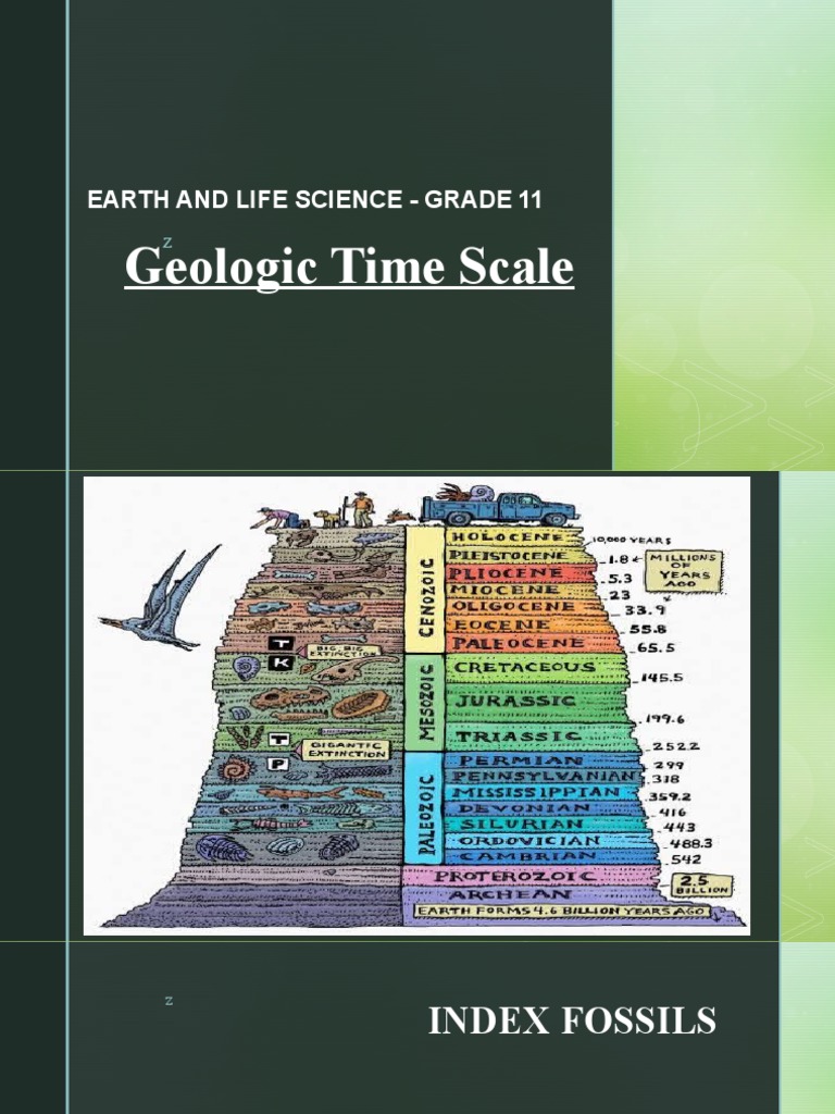 Geologic Time Scale Overview | PDF | Geologic Time Scale | Fossil