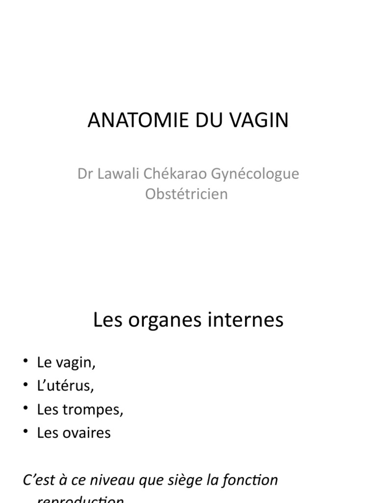 03 Anatomie Du Vagin | PDF
