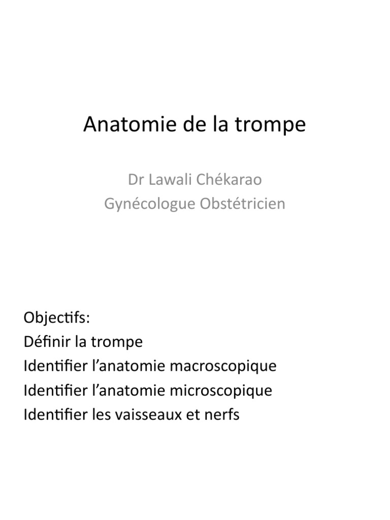 05 Anatomie de La Trompe | PDF | Utérus | Ovaire