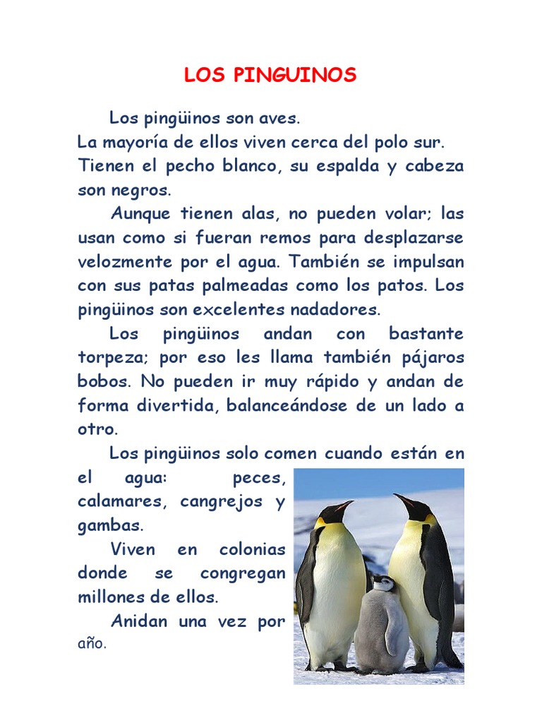 Los Pinguinos | PDF | Hogar y jardín