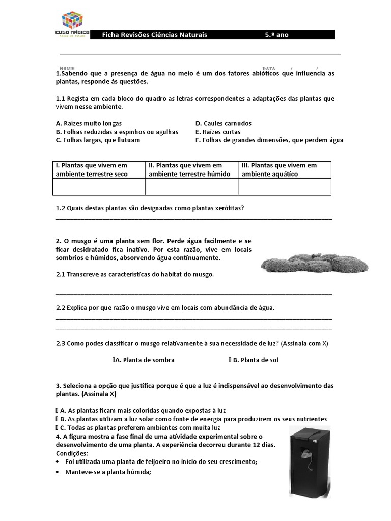 Santillana Cn5 Ficha Avaliacao 5 | PDF | Plantas | Musgo