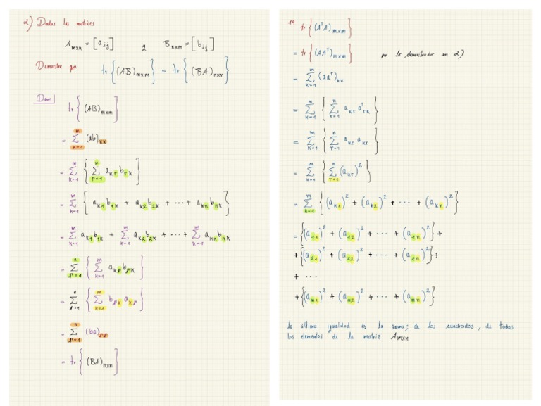 Traza de Una Matriz | PDF