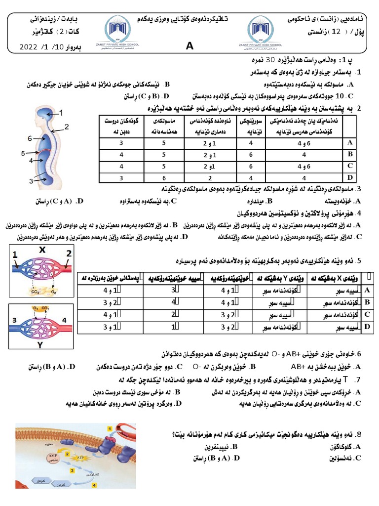 Zanst 60 2022 A | PDF