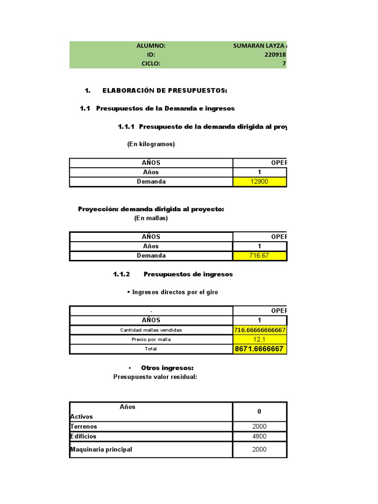 Presupuestos y Flujos de Caja EAE | PDF | Presupuesto | Depreciación