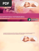 Bula Perlutan | PDF | Anticoncepcionais | Gravidez